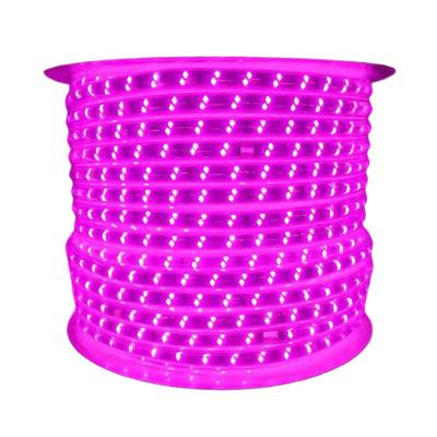 China 85 Ra LED Strip Light Custom Length 50m/100m Rolls With Copper Connector Light Strings for sale