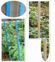 China Fiberglass Pultruded Rod for Tomato Stakes - High Strength for sale