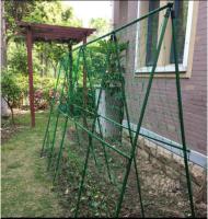 China UV-Resistant Anti-Aging FRP Fiberglass Garden Support Stakes High Strength Corrosion-Resistant Replace Wood/Metal for sale