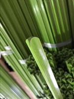 China Fiberglass Tree Stake - Corrosion-Resistant FRP Pole for Gardening for sale