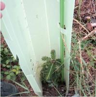 China Fiberglass Tree Stake - Corrosion-Resistant FRP Pole for Gardening for sale