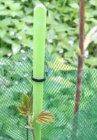 China Fiberglass Tree Stake - Corrosion-Resistant FRP Pole for Gardening for sale