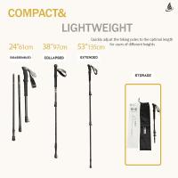China Adjustable Lightweight Carbon Fiber Telescopic Hiking Pole 3-Section with EVA Foam Grip 65-135cm for sale