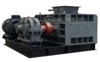China Coal Crusher Industrial Crushing Equipment With Two Toothed Rollers for sale