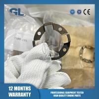 China Iron ch Plate Fuel  Pump Parts 7189-295 DP210 DP310 Pumps 9320A303W for sale