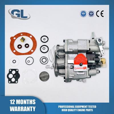 China PT Diesel Pump Repair Kit  Injector Repair Kit for sale