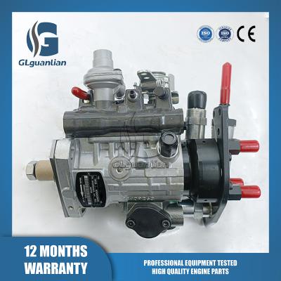 China DP210 Pumps Del-phi Diesel Fuel Pump Assy 9320A294W 9320A296W 3957700 for sale
