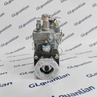 China Fuel Injection Pump 0460426065 VE6/12F750R139-1 For MAN 51111027604 for sale