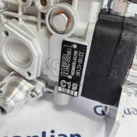 China VE Fuel Injection Pump 22100-1C190 VE6/10F1900RND264 For Toyota 1HZ Engine for sale