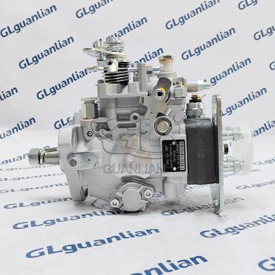 China VE Fuel Pump 0460424081 VE4/12F1100R378-8 For CASE/CDC/CUM-MINS 3919846 3.9L 4BT Engine for sale