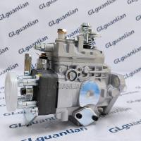 China VE Fuel Pump 0460424081 VE4/12F1100R378-8 For CASE/CDC/CUM-MINS 3919846 3.9L 4BT Engine for sale