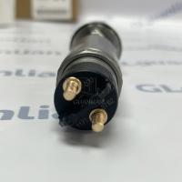 China Fuel Injector 0445120020 5010550956 For IVE-CO/RE-NAULT CRIN1-14 CRIN1-16 Engine for sale