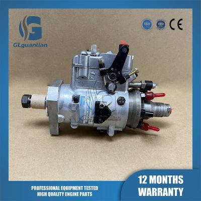China Fuel Pump DB2335-6228 For Lovol T832210069 1003G 35 KW Generator for sale