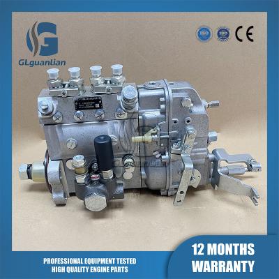 China Fuel Pump BHF4PM105001 For Weifu Yangchai YZ4105ZLQ Engine for sale