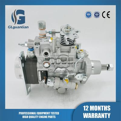 China Diesel Injection Pump 504063449 VE4/12F1100L995 For 63 KW NEF Engine for sale