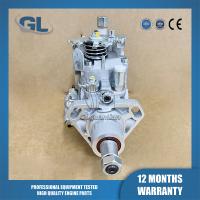 China VE Fuel Pump Diesel Injection Pump 0460424302 VE4/12F1100L995 For 63 KW NEF Engine for sale