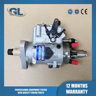 China Diesel Injection Pump DB2335-6089 T832210044 for 1003G Generator (29kW) Engine for sale