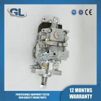 China Diesel Injection Pump VE Pump 0460413002 VE3/11F1250L163-1 For 8035.06.306 3630 Engine for sale