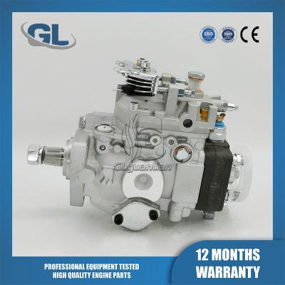 China Diesel Injection Pump VE Pump 0460413002 VE3/11F1250L163-1 For 8035.06.306 3630 Engine for sale