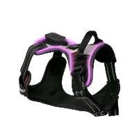 China Reflective Strips No Pull Dog Harness Adjustable Fit Comfortable Padding Suitable for Evening Walks and Training Sessions for sale