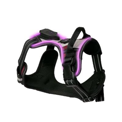 China Reflective Strips No Pull Dog Harness Adjustable Fit Comfortable Padding Suitable for Evening Walks and Training Sessions for sale