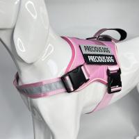 China Lightweight No Pull Dog Harness Featuring Quick Release Buckles and Ergonomic Design for Easy Walks for sale