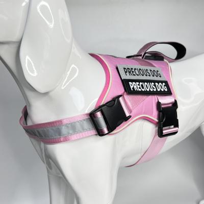 China Lightweight No Pull Dog Harness Featuring Quick Release Buckles and Ergonomic Design for Easy Walks for sale