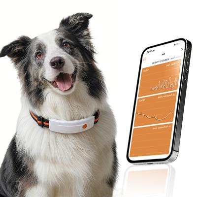 China Forbidden Access Status Pet Health Monitor Utilizing Insufficient Permissions Protection for Animal Health Data Handling for sale