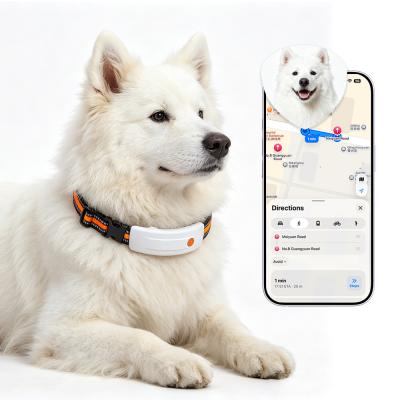 China All-in-One GPS Dog Collar with Virtual Fence and Activity Tracking for sale