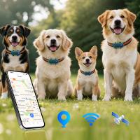 China Smart Dog GPS Collar with Activity Records and Safety Boundary Alerts for sale