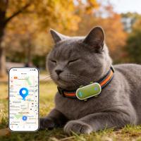 China Smart Dog GPS Collar with Activity Records and Safety Boundary Alerts for sale