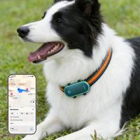 China Smart Dog GPS Collar with Activity Records and Safety Boundary Alerts for sale