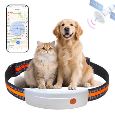 China Smart Pet Products providing intelligent pet devices that combine advanced technology with easy to design for pet care automation for sale
