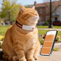 China Prevents Unauthorized Access Smart Pet Products Offering Security and Automation Features to Enhance Pet Care Services for sale