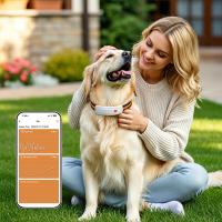 China Prevents Unauthorized Access Smart Pet Products Offering Security and Automation Features to Enhance Pet Care Services for sale