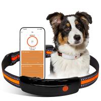 China Access restriction GPS Dog Collar offering location tracking geofence notifications and extended battery life designed for active dogs for sale