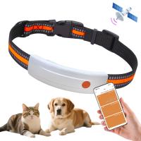 China Compact Size 4G LTE Pet Tracker GPS Device Providing Real Time Location Updates and Enhanced Pet Monitoring Capabilities for sale