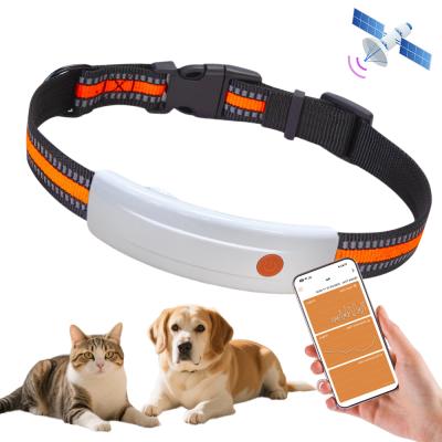 China Compact Size 4G LTE Pet Tracker GPS Device Providing Real Time Location Updates and Enhanced Pet Monitoring Capabilities for sale