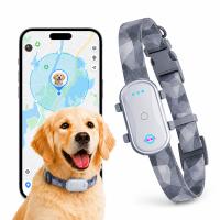 China Waterproof 4G Pet Tracker Anti-Lost GPS Locator for Pet Brands Wholesalers Distributors and Online Sellers for sale
