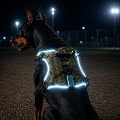 China Lightweight No Pull Harness Suitable for All Dog Breeds Adjustable Design for Effective Pull Control and Comfort for sale