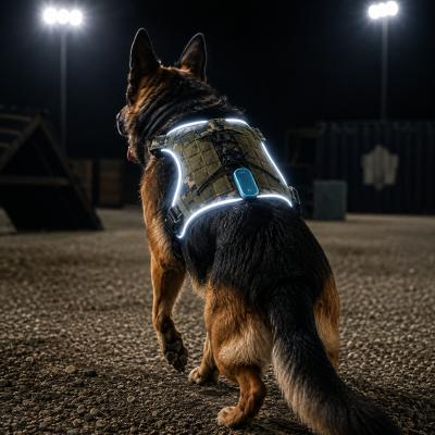 China Reflective Strips No Pull Dog Harness Adjustable Fit Comfortable Padding Suitable for Evening Walks and Training Sessions for sale