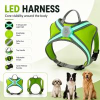 China Qcool Rechargeable Light Up Adjustable Reflective Pet Walking Safety Custom Logo 3 Piece LED Dog Harness Collar and Leash Set for sale