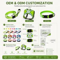 China Qcool Rechargeable Light Up Adjustable Reflective Pet Walking Safety Custom Logo 3 Piece LED Dog Harness Collar and Leash Set for sale