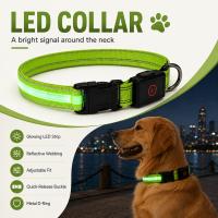 China Qcool Rechargeable Light Up Adjustable Reflective Pet Walking Safety Custom Logo 3 Piece LED Dog Harness Collar and Leash Set for sale