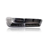 China 5W Upgrade Double Dragon Scale Style LED Dynamic Tail Rear Lamp For BMW 3 Series LED Taillight for sale