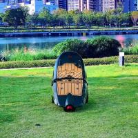 China Electric Surfboard Jet Board Electric Powered Surfboards Electric Jet Water Board for sale