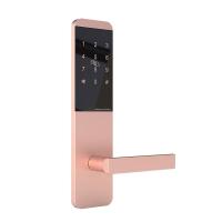 China TTM727  TThotel / TTLOCK App Smart password door Locks for sale