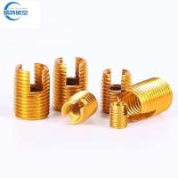 China Customized Brass Self-Tapping Threaded Insert Nut Fine Coarse Thread M1.4 M60 for sale