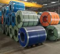 China Industrial Stainless Steel Coil JIS Standard ±1% Hot Rolled Steel Sheet In Coil for sale