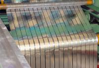 China Hot Rolled 303 Stainless Steel Strip AiSi Forged Smooth Surface for sale